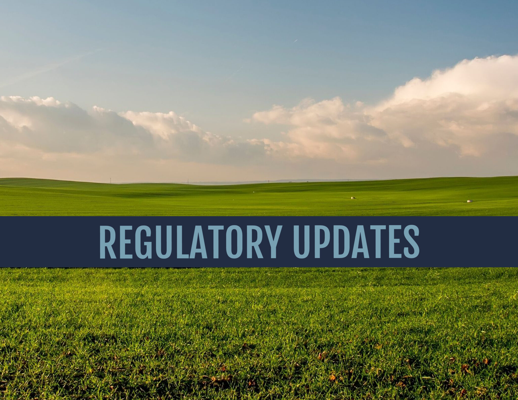2025 Quarter 4 Regulatory Update - Insignia Environmental